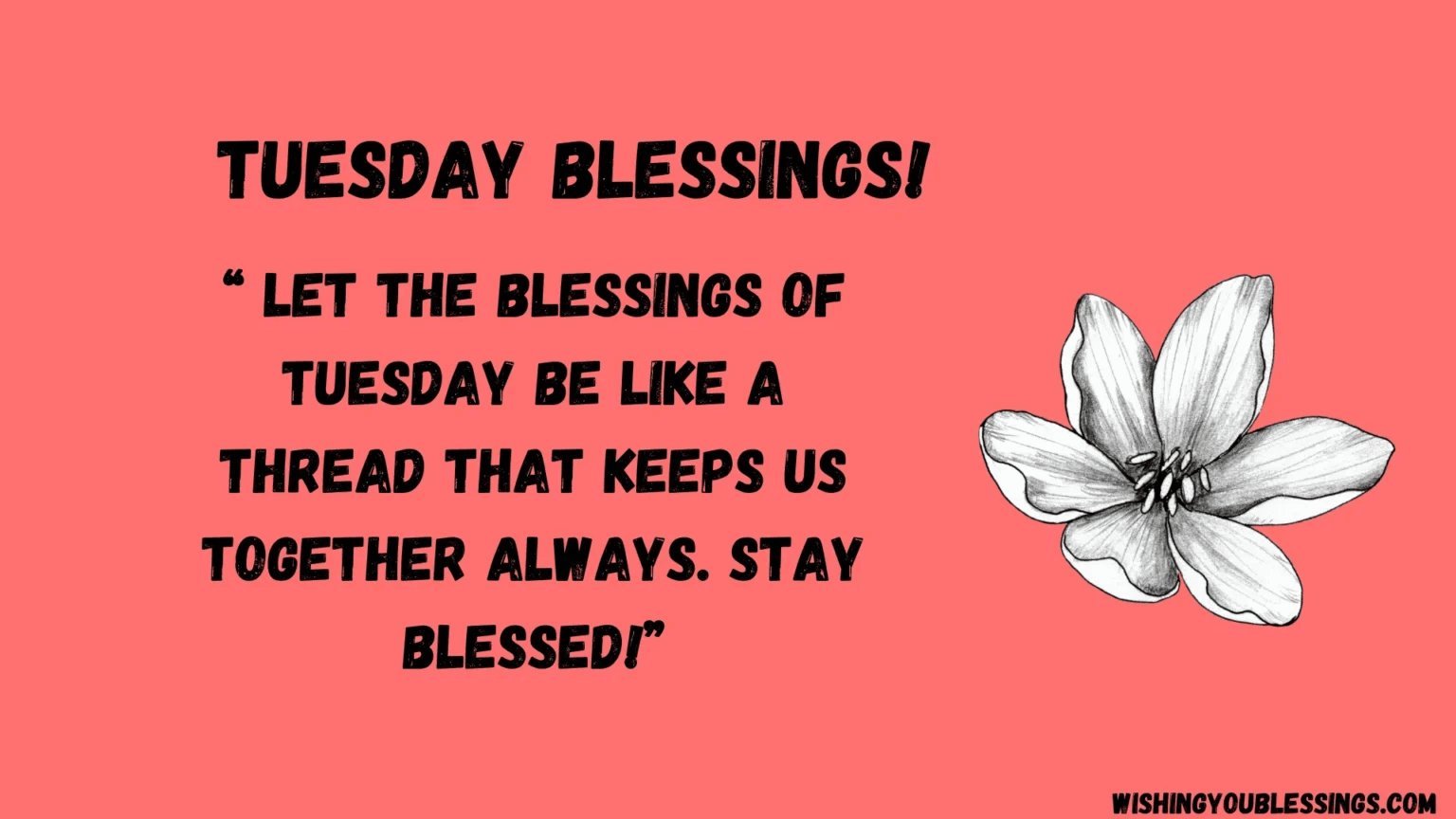 225+ Happy Tuesday Blessings, Images, Quotes & Prayers