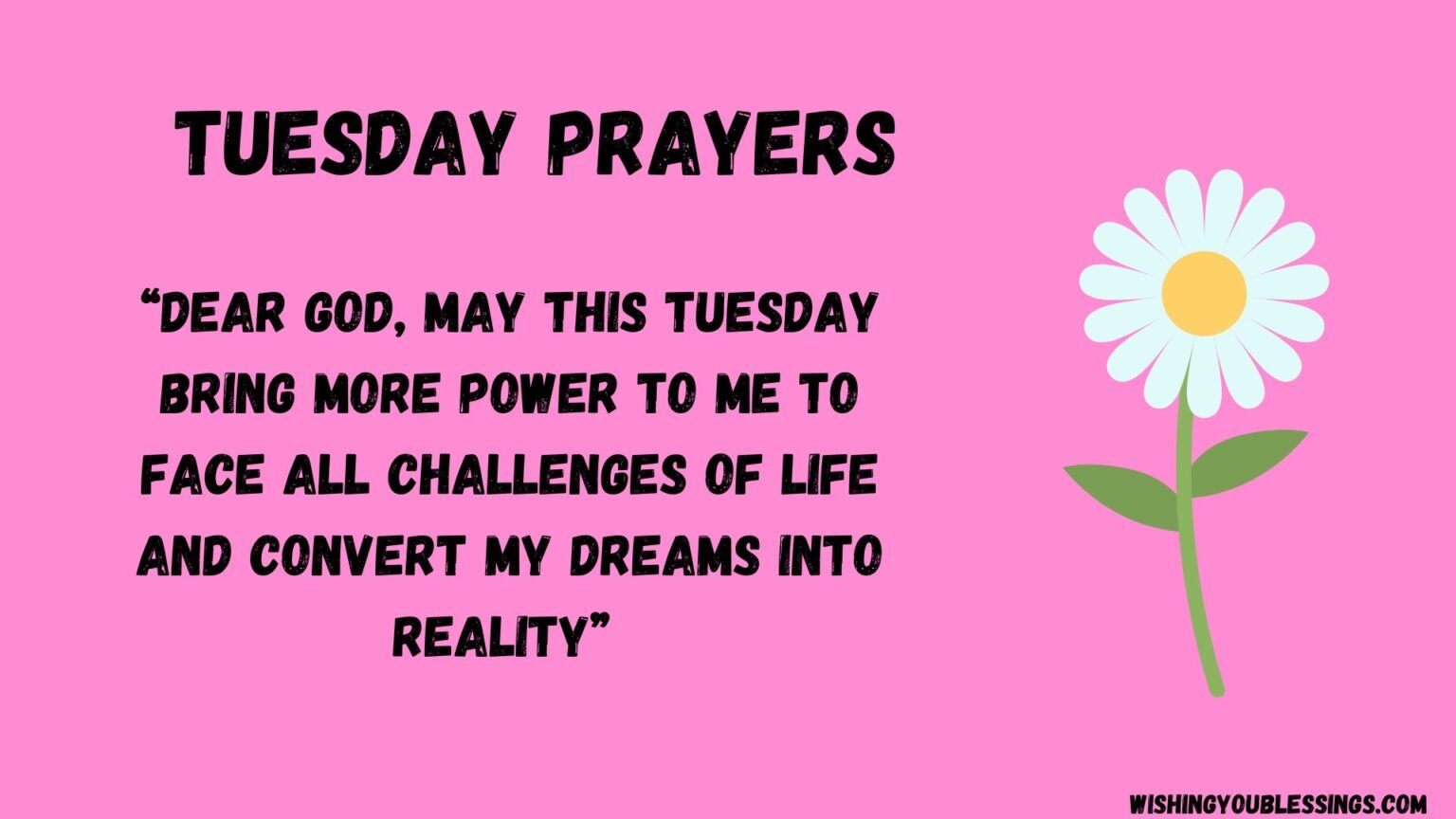225+ Happy Tuesday Blessings, Images, Quotes & Prayers