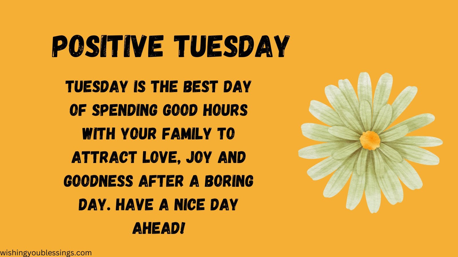 220+ Best Tuesday Quotes & Images for Motivation [2024]