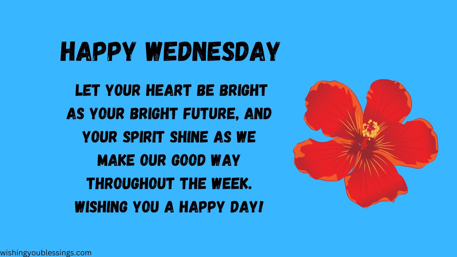 270+ Best Wednesday Quotes & Images [2024]