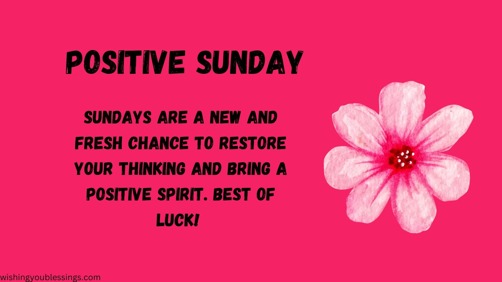 300+ Best Sunday Quotes with Images [2024]